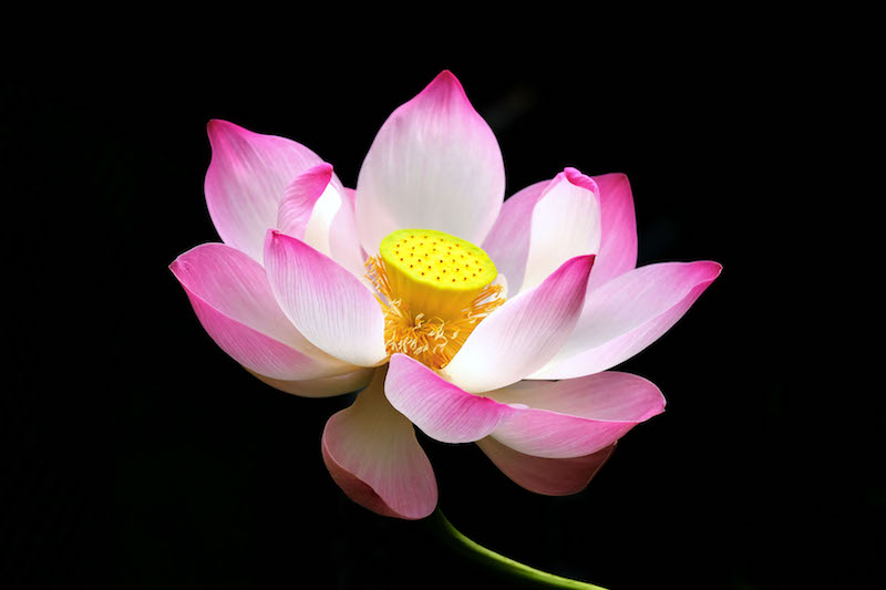 Alison Woolley’s Gallery | Hebden Bridge Camera Club