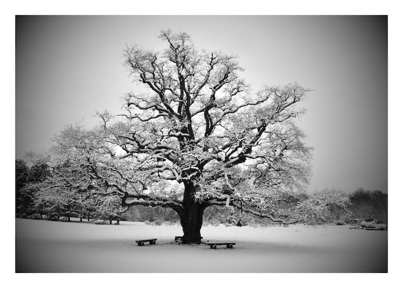 Alison Woolley’s Gallery | Hebden Bridge Camera Club