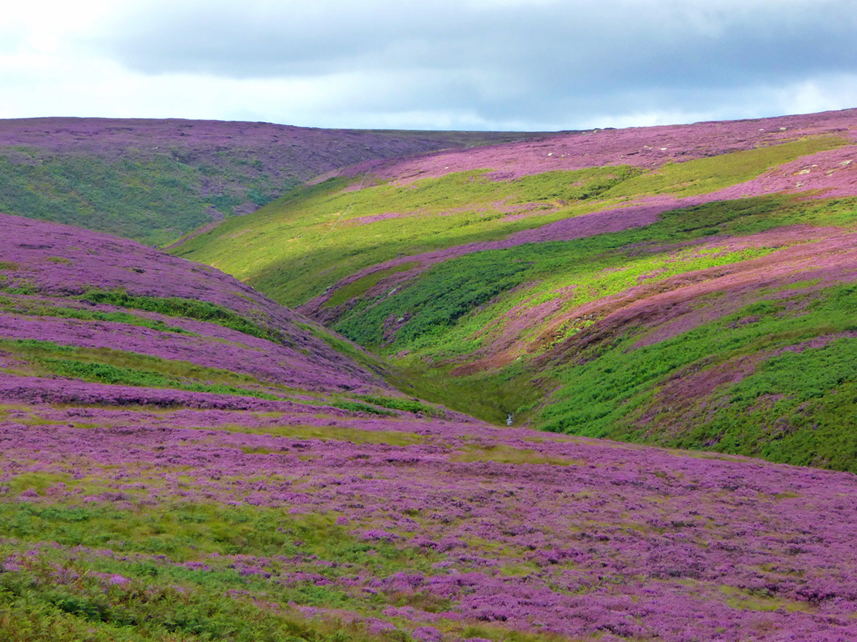 2017 Exhibition Winners | Hebden Bridge Camera Club