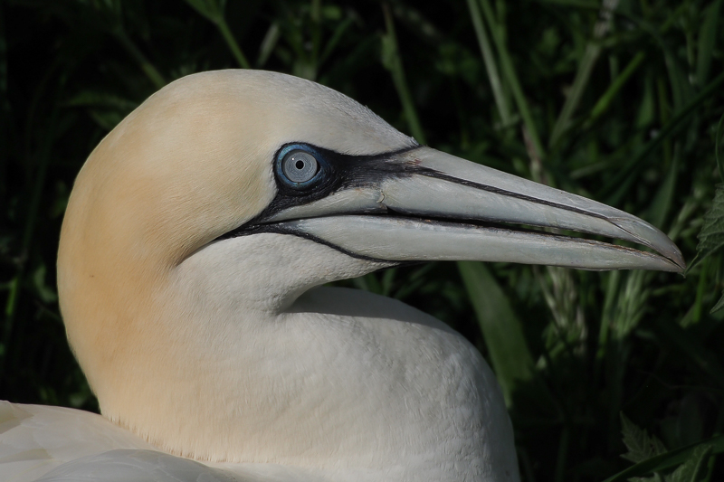 Helka Czuhra’s Gallery | Hebden Bridge Camera Club